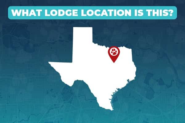 National Read a Road Map Day | Family Road Trip Games | Great Wolf Lodge